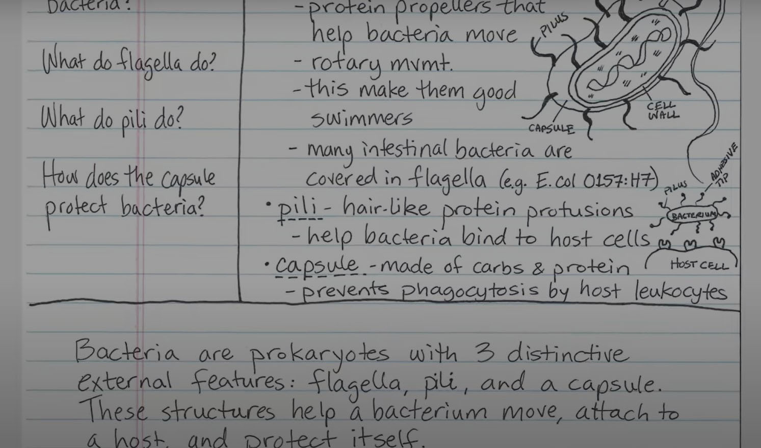 Note taking » Otago Polytechnic